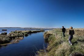 Waimakariri | Canterbury Maps